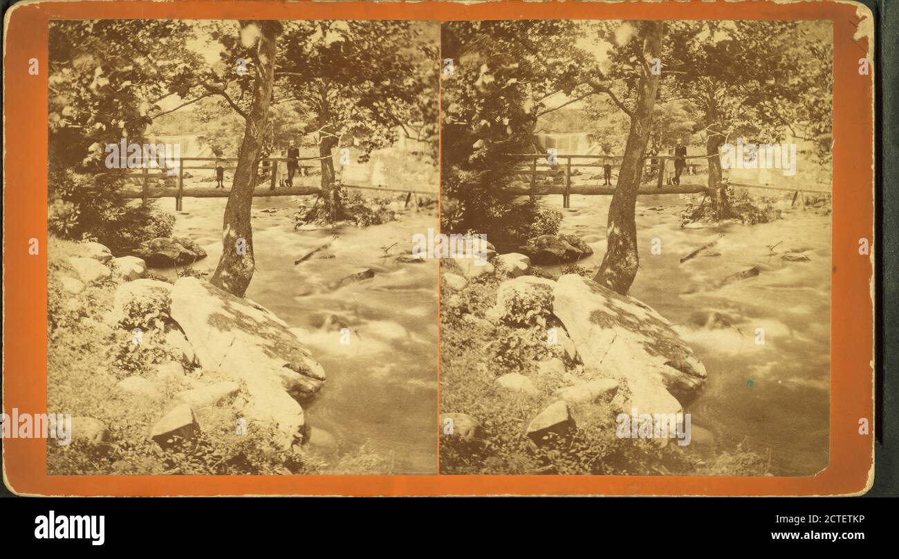 Foot bridge down in the glen., Hensel, L. (Loudolph) (1849-1927 ...