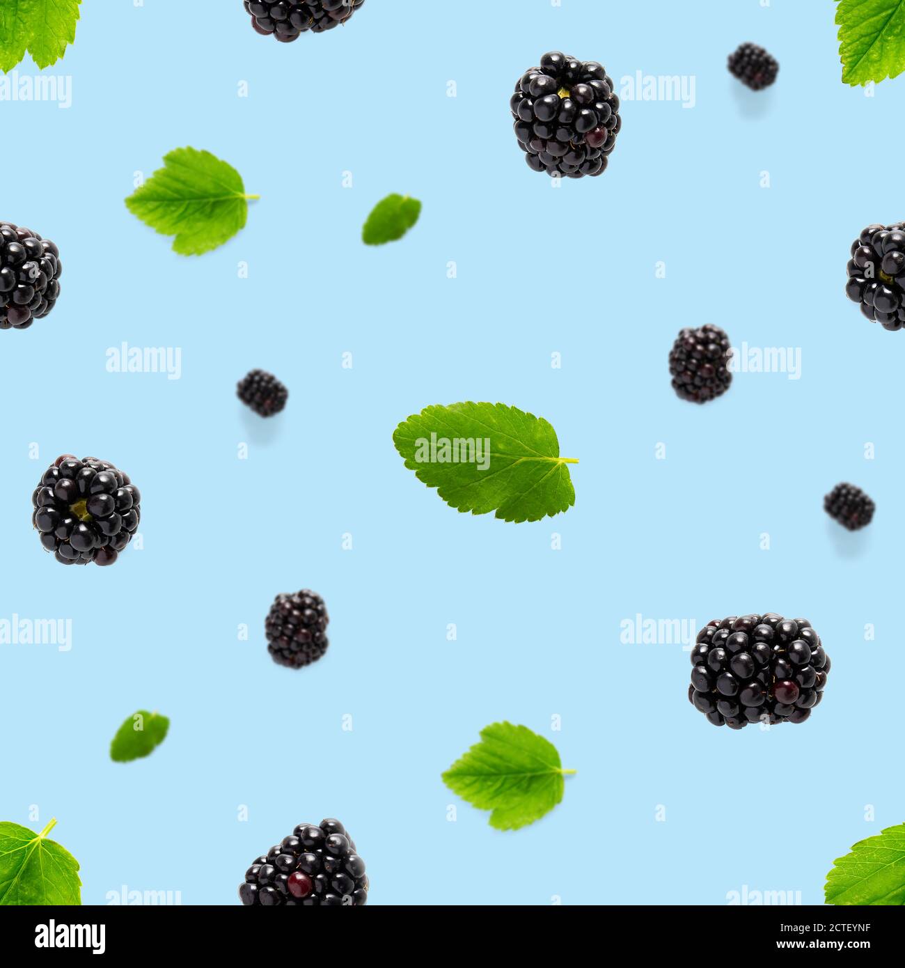 Falling Bramble Seamless pattern. Fresh Falling blackberry seamless ...