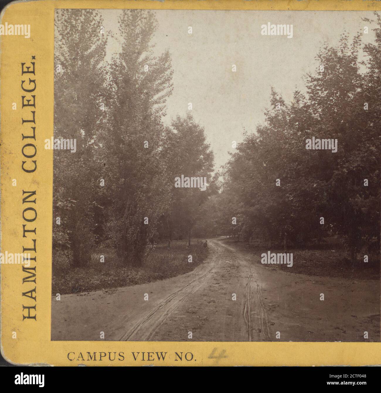 Hamilton college campus view no 4 hi-res stock photography and images ...