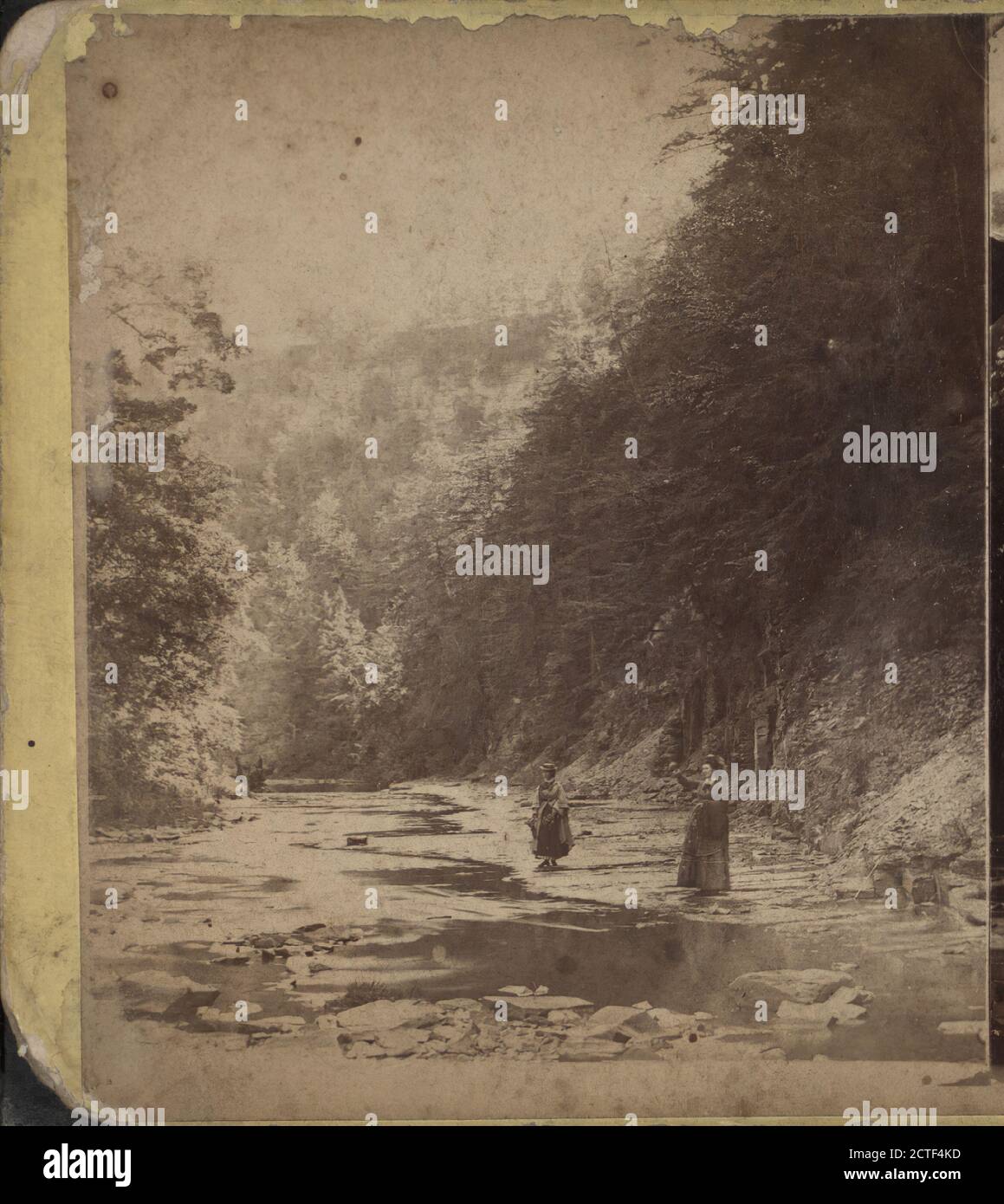 Looking down Lower Ravine, 4th view., Marsh, C. M., 1870, New York ...