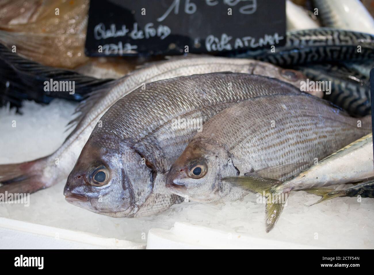 sale of fresh fish in a fish shop Stock Photo - Alamy