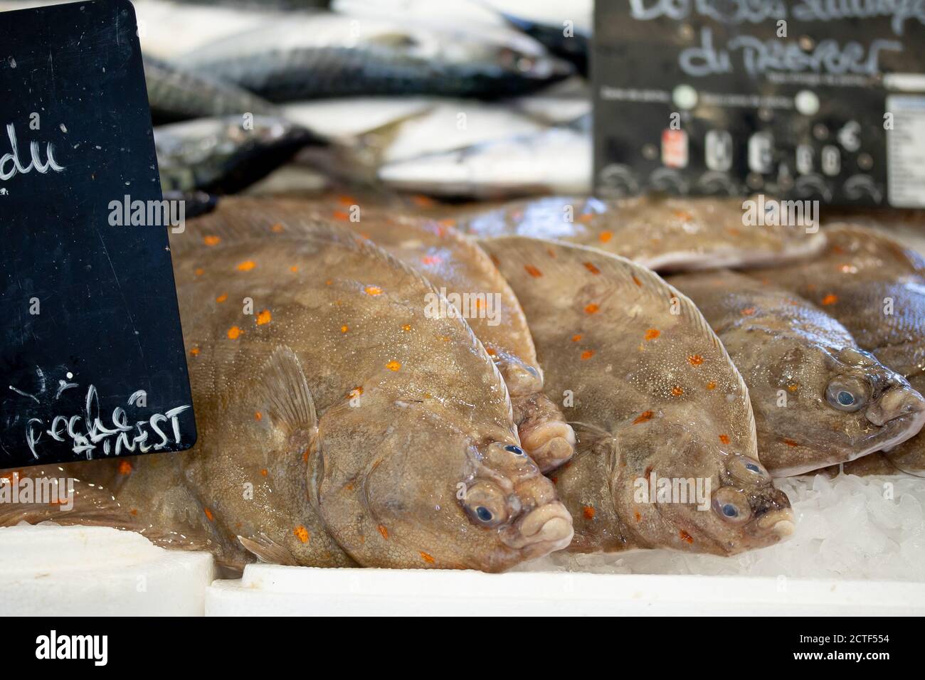 fresh fish stall in a fish shop Stock Photo - Alamy
