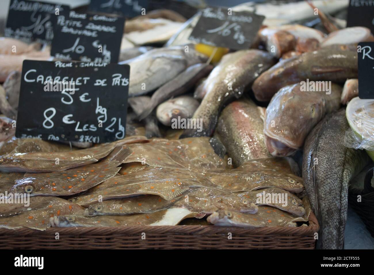 fresh fish stall in a fish shop Stock Photo - Alamy
