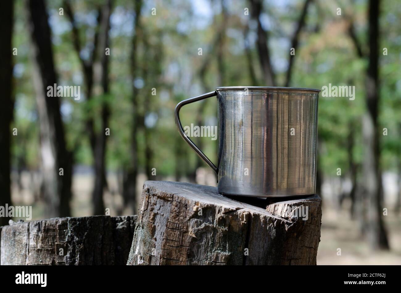 Metal mug on a tree stump in the forest. A stainless steel mug on top ...