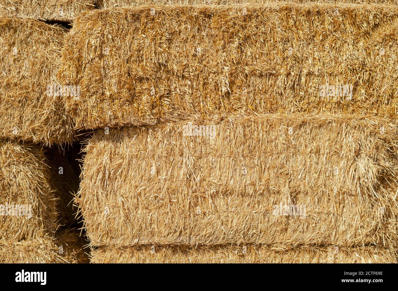 The texture of dry straw in rectangular bales. Close-up of rectangular ...