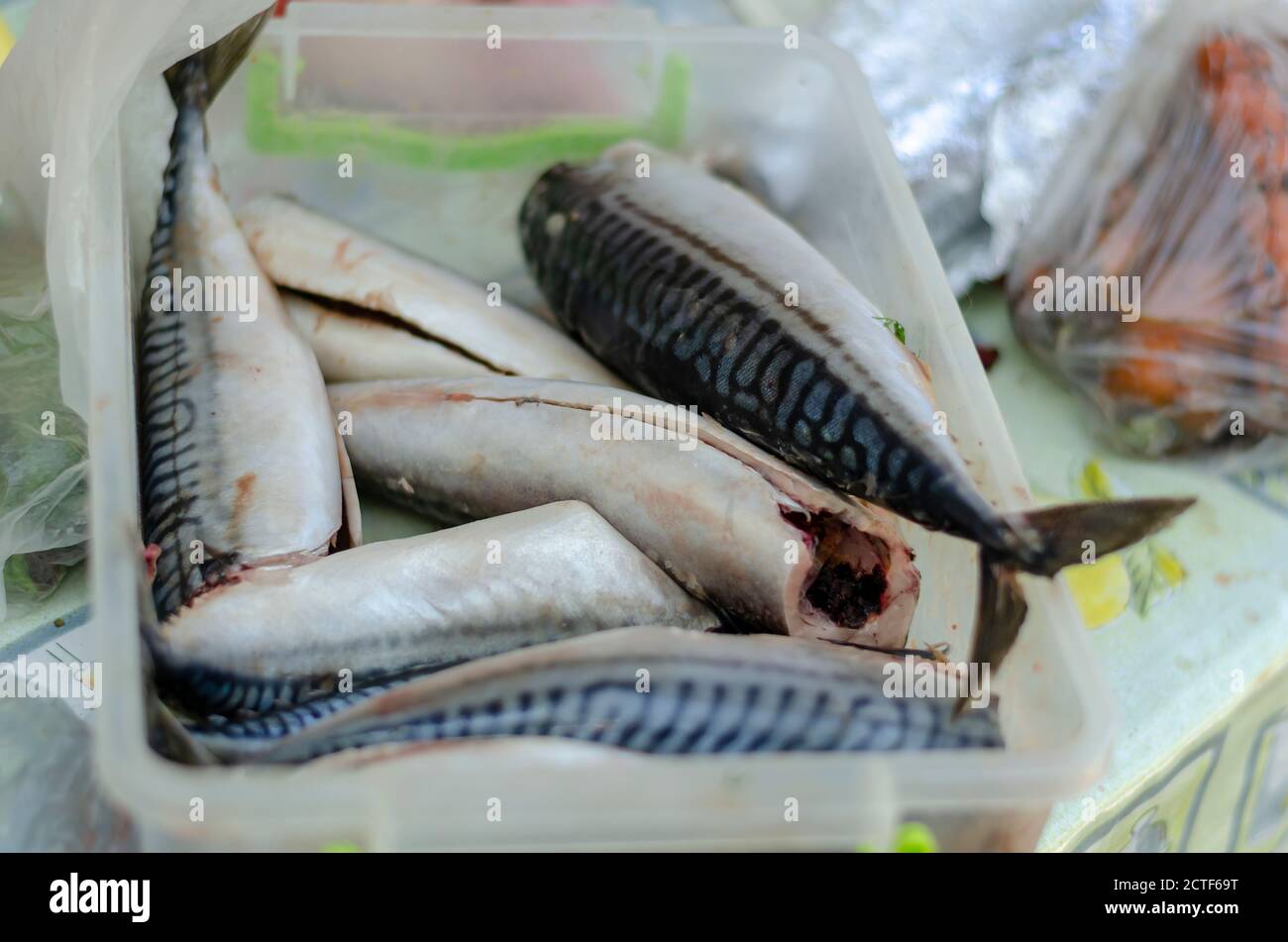 A group of raw gutted mackerel in a plastic tray. Ocean fish carcasses ...