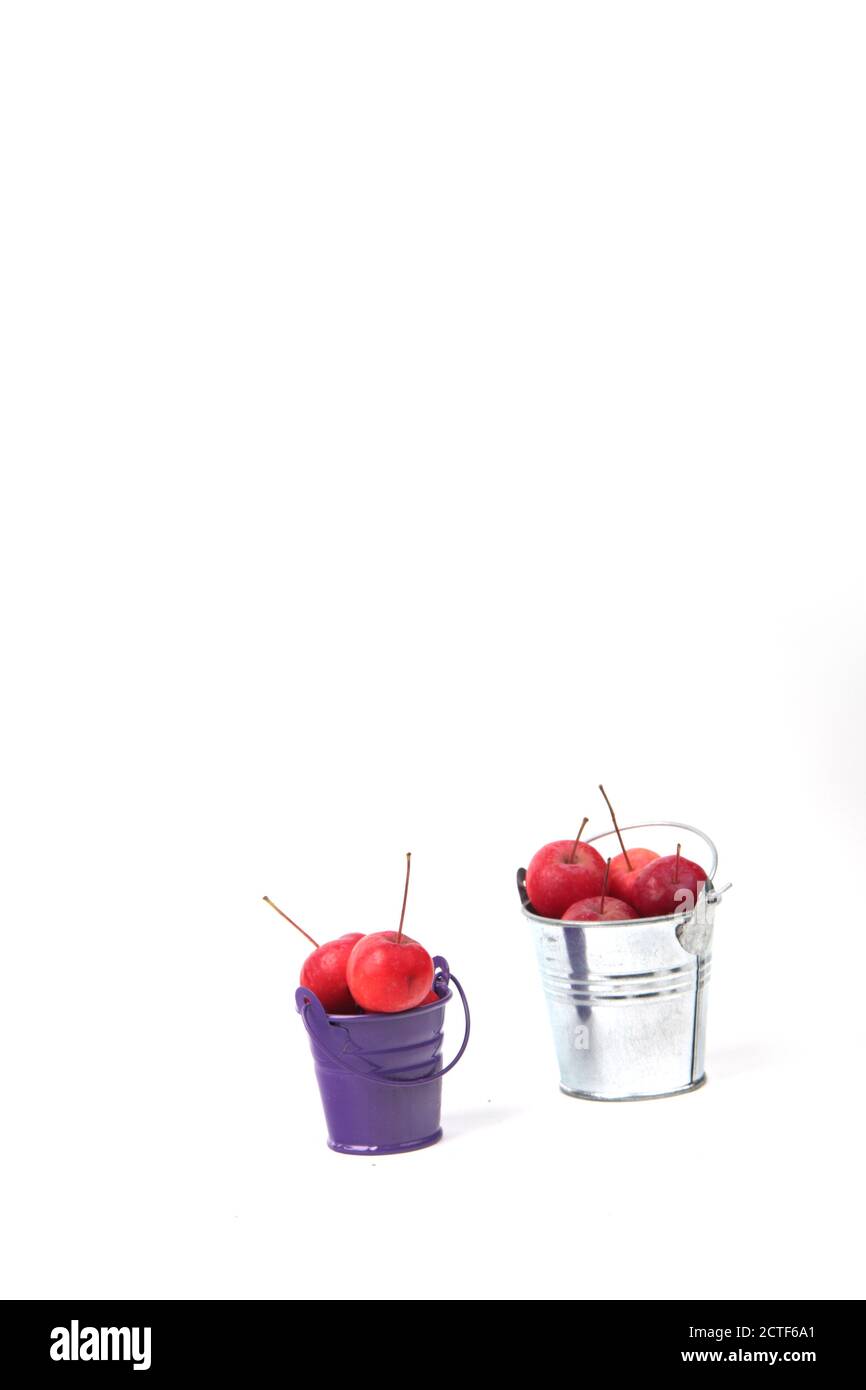 two buckets of apples isolated on white background. Autumn gardening ...