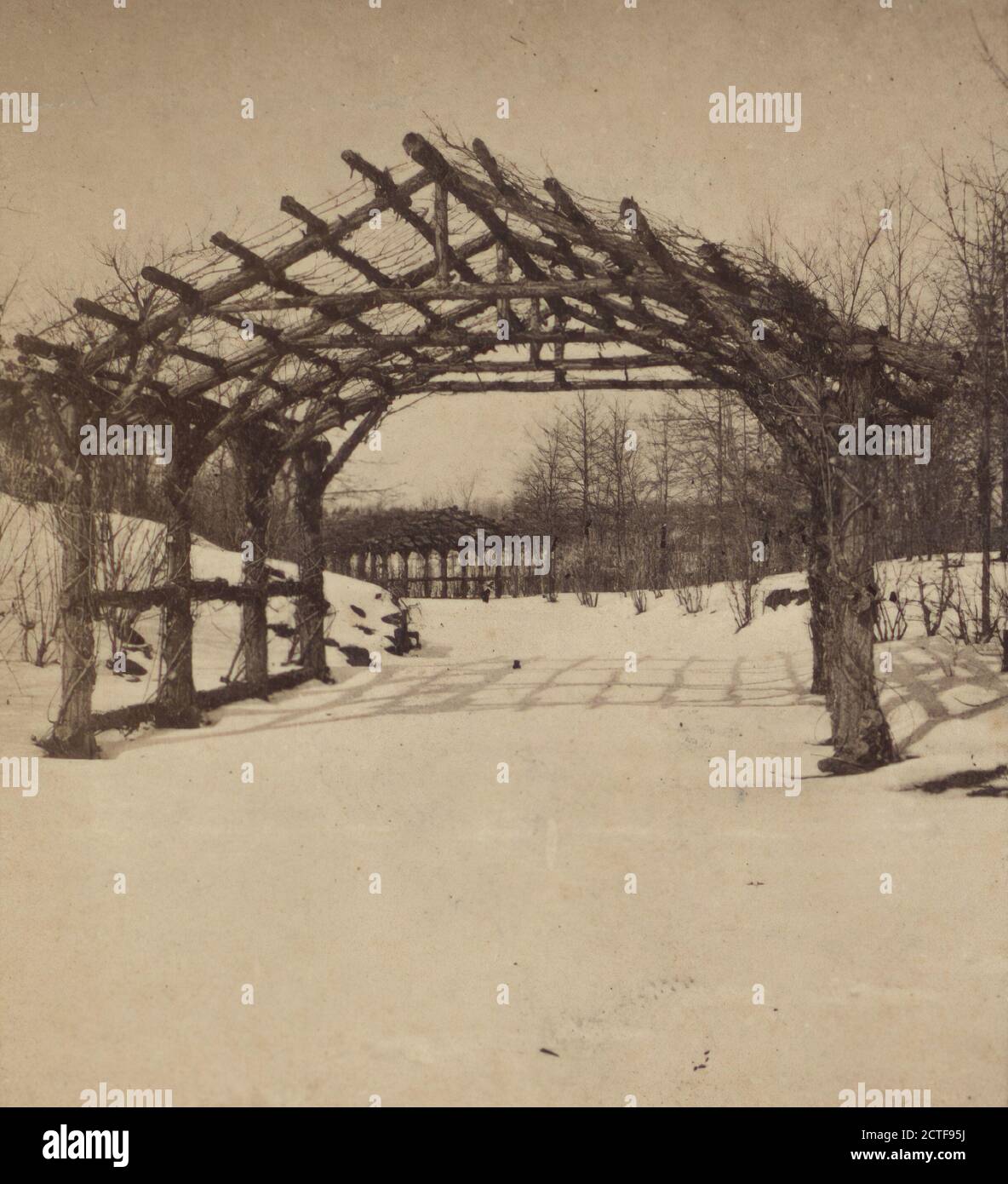 Bridle path central park hi-res stock photography and images - Alamy