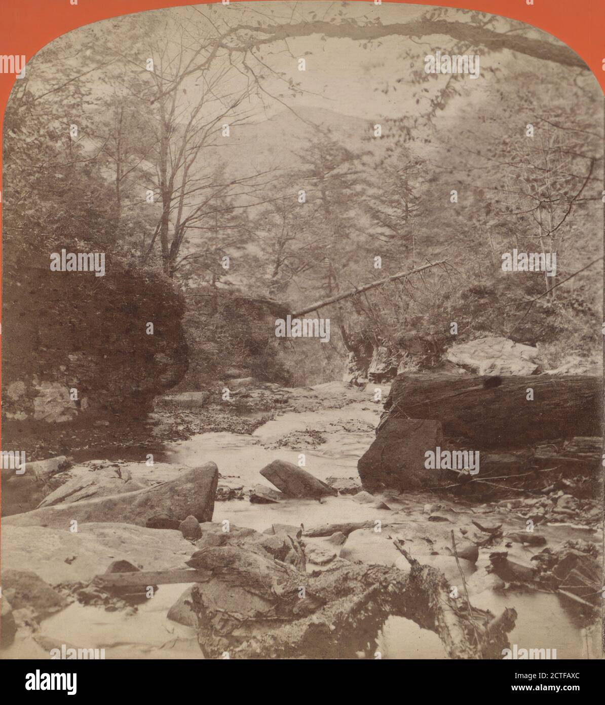 In the Ravines, above Bastion Falls., Loeffler, J. (John Jacob) (1834 ...