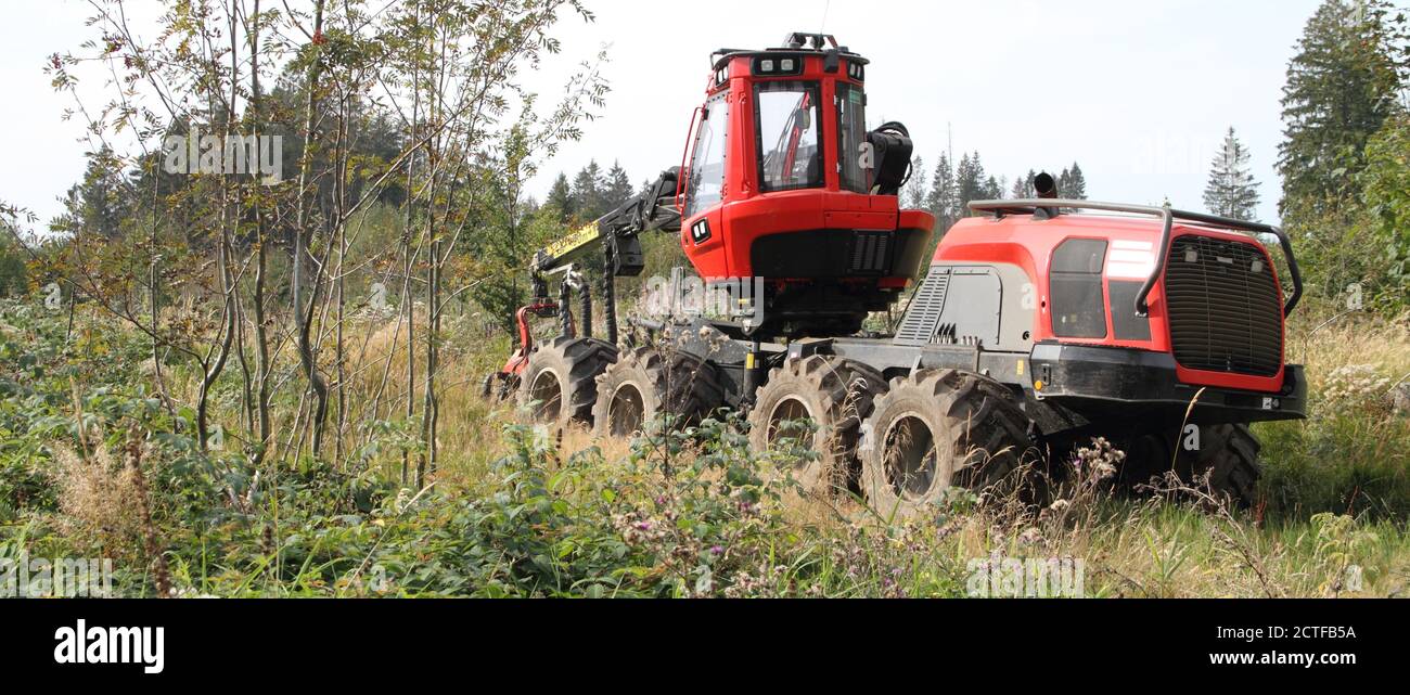 Forest harvester in fir hi-res stock photography and images - Alamy