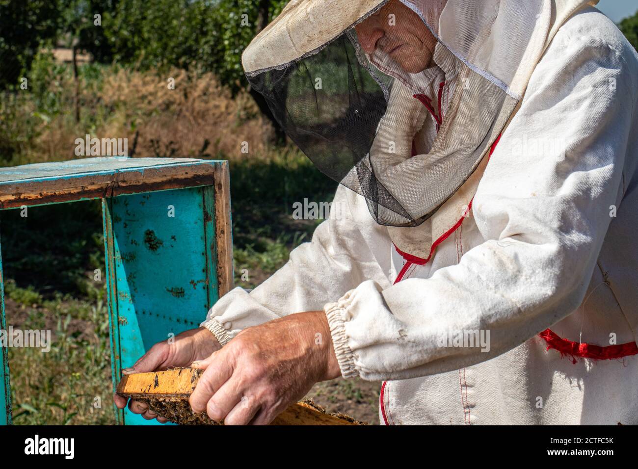 Beekeeper protection suit hi-res stock photography and images - Alamy