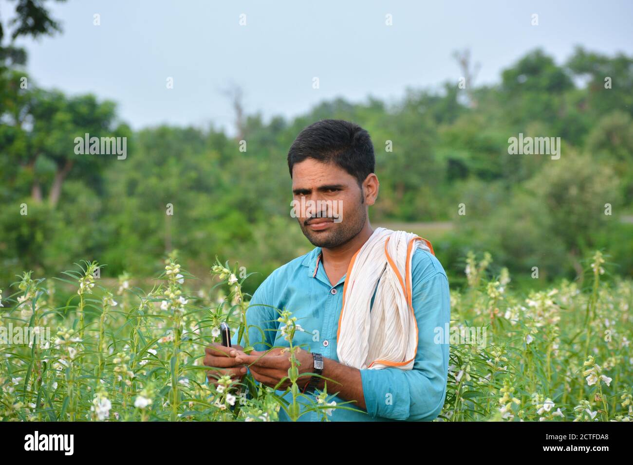 Sesamum india hi-res stock photography and images - Alamy