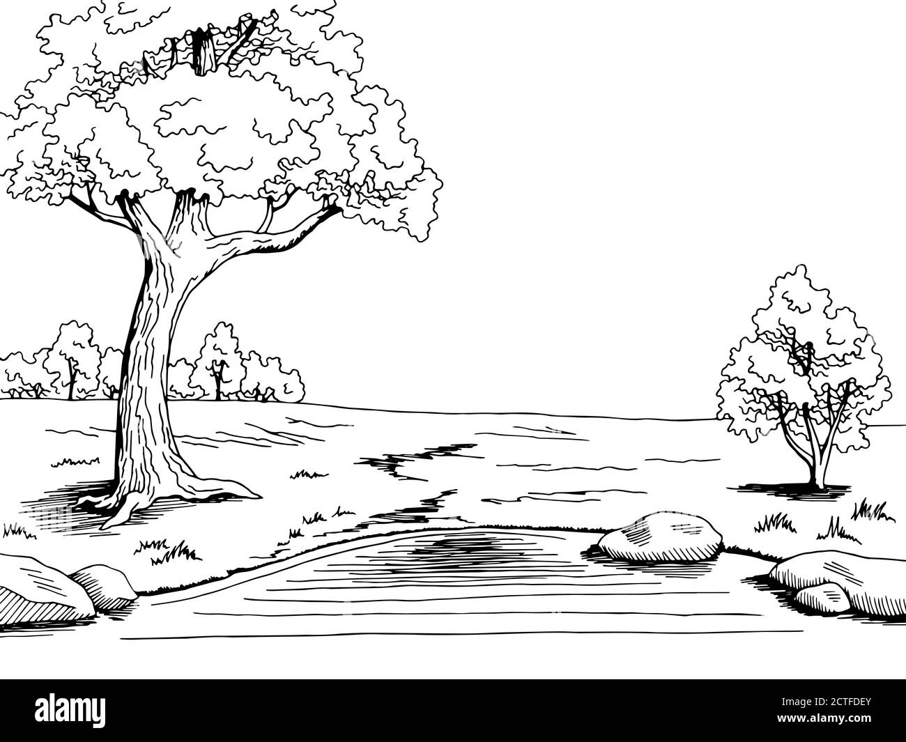 Park lake tree graphic art black white landscape sketch illustration ...