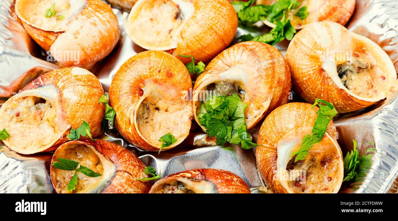 Snail or escargots with garlic butter and.Food background.Close up.Food ...