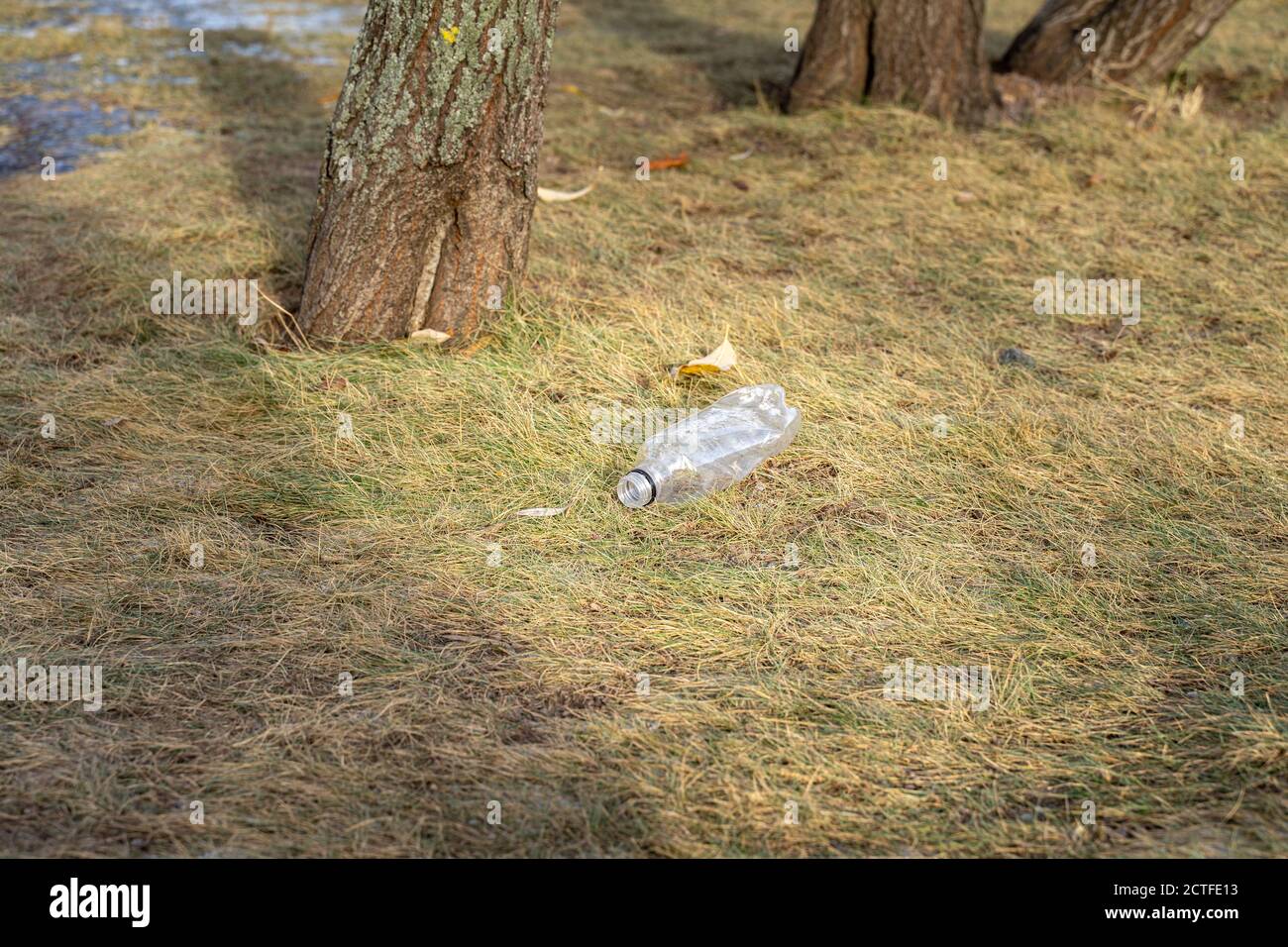 plastic bottle thrown on the lawn in the park. plastic pollution of the ...