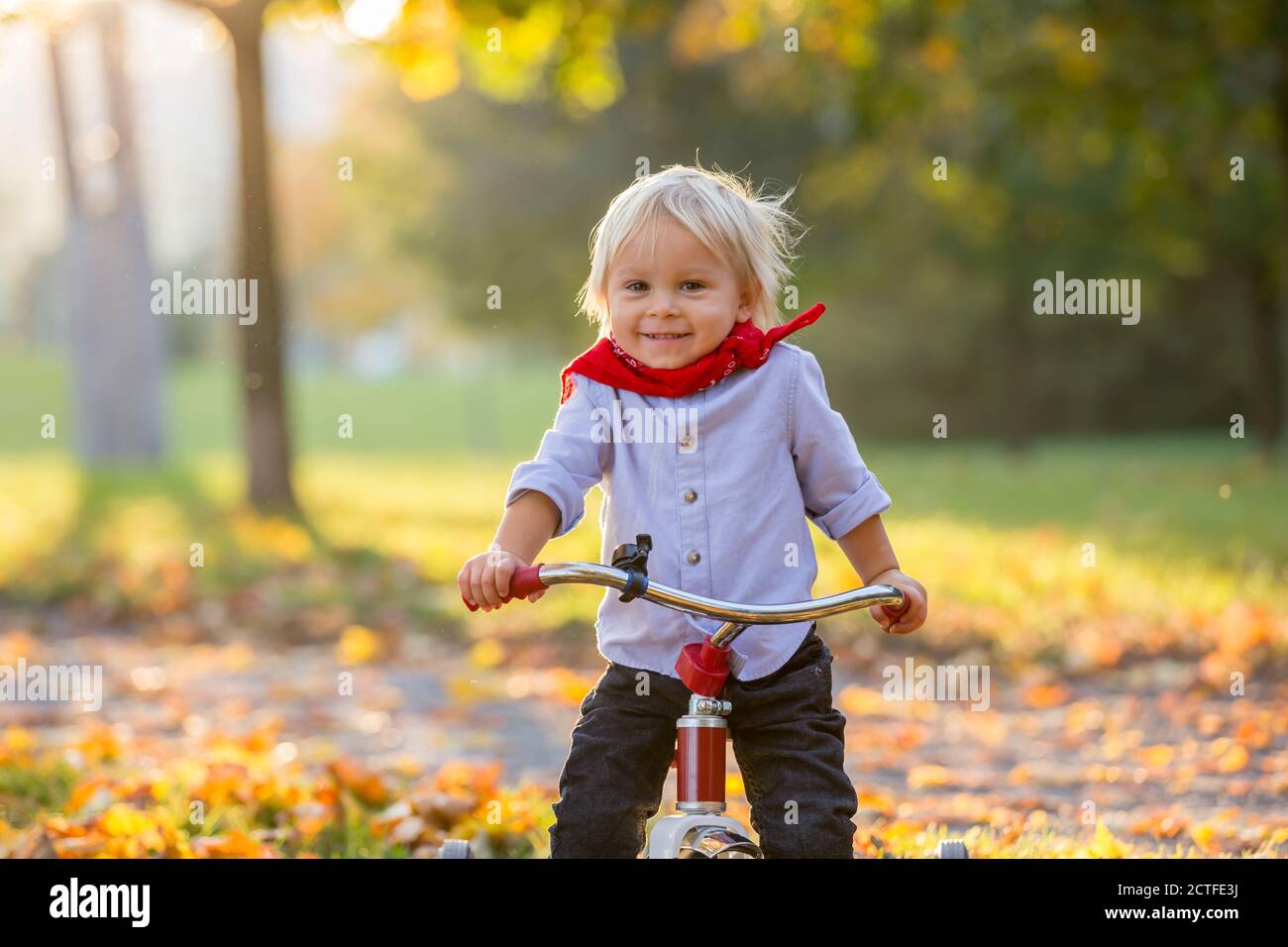 Beautiful blonde two years old toddler boy, riding red tricycle in the ...