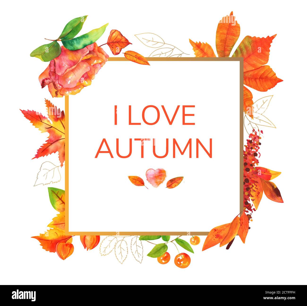 I love autumn banner with watercolor fall leaves, branches and flowers ...
