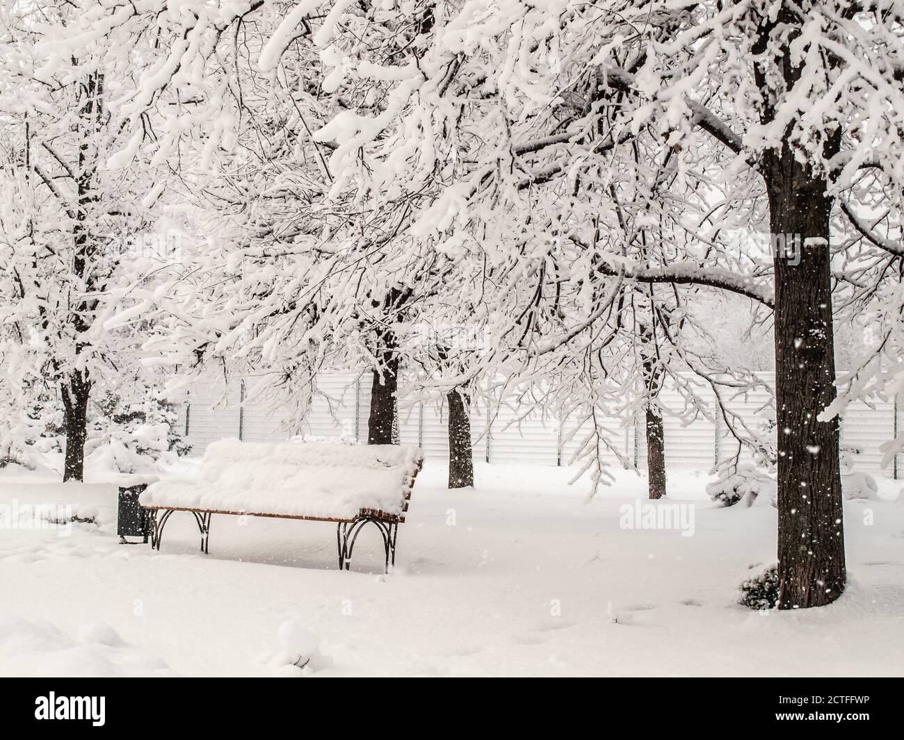 Park after snowfall hi-res stock photography and images - Alamy