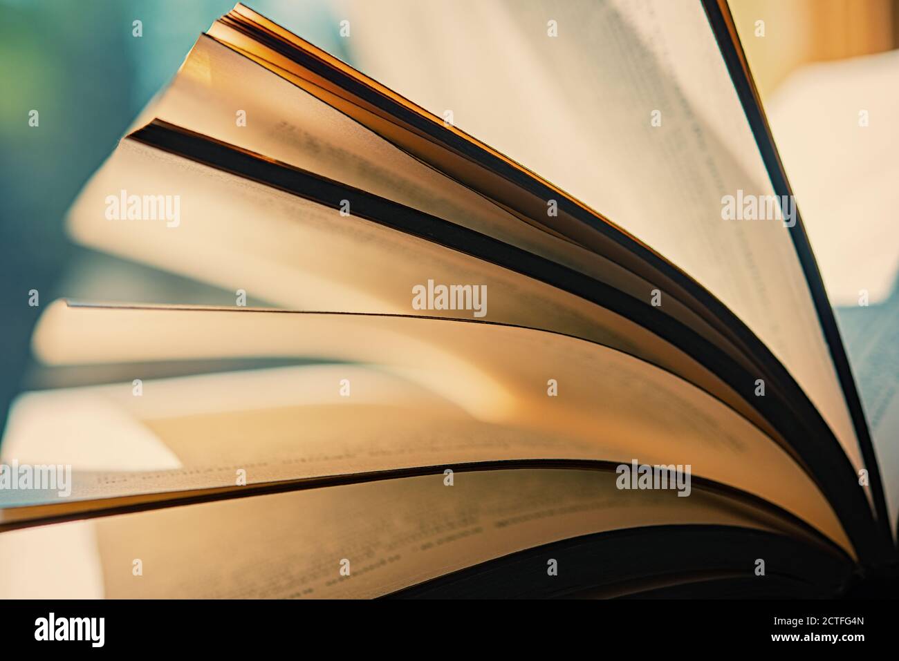 Pages of an open vintage book in the morning sunlight against the ...