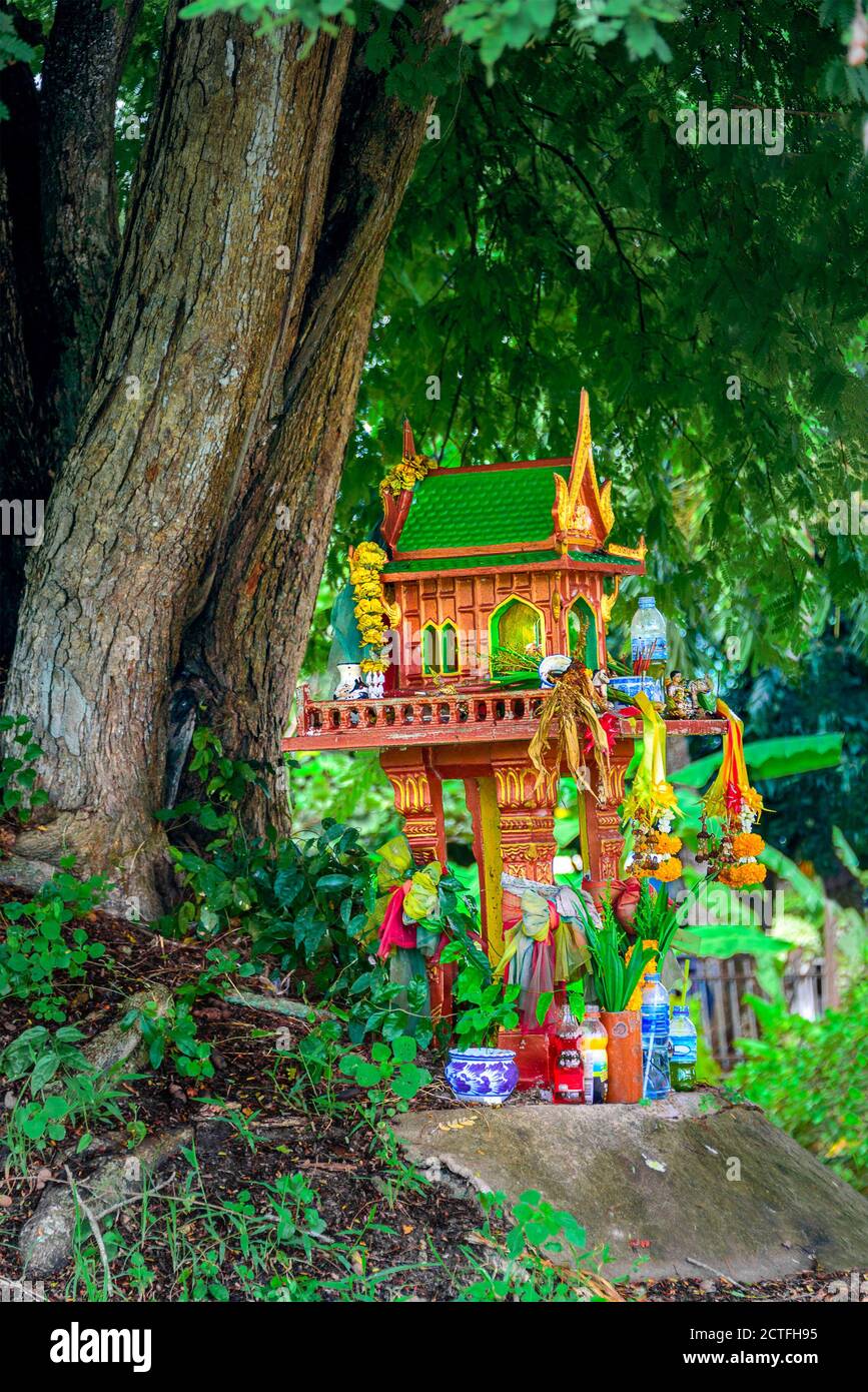 A spirit house on earth mound with a huge tree stands behind ...