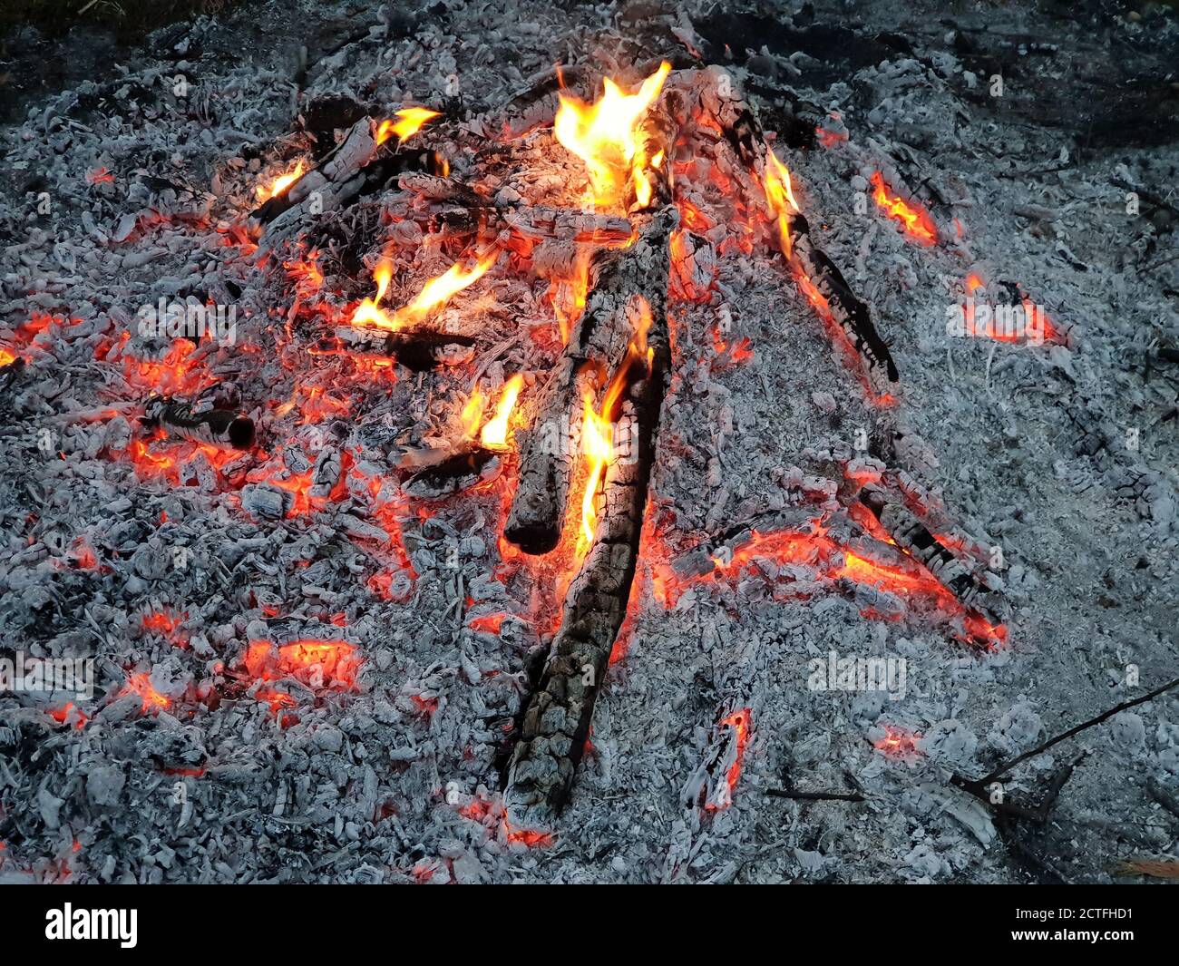 Glowing embers of burning wood log fire Stock Photo - Alamy