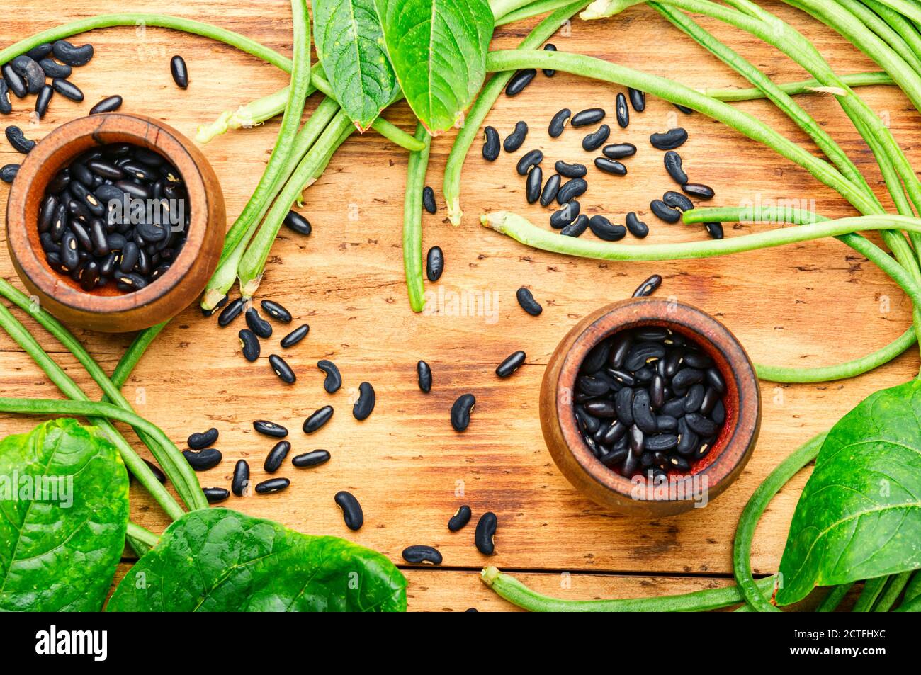 Vigna or cowpea pods and beans.Vegetable plant.Popular Chinese food ...