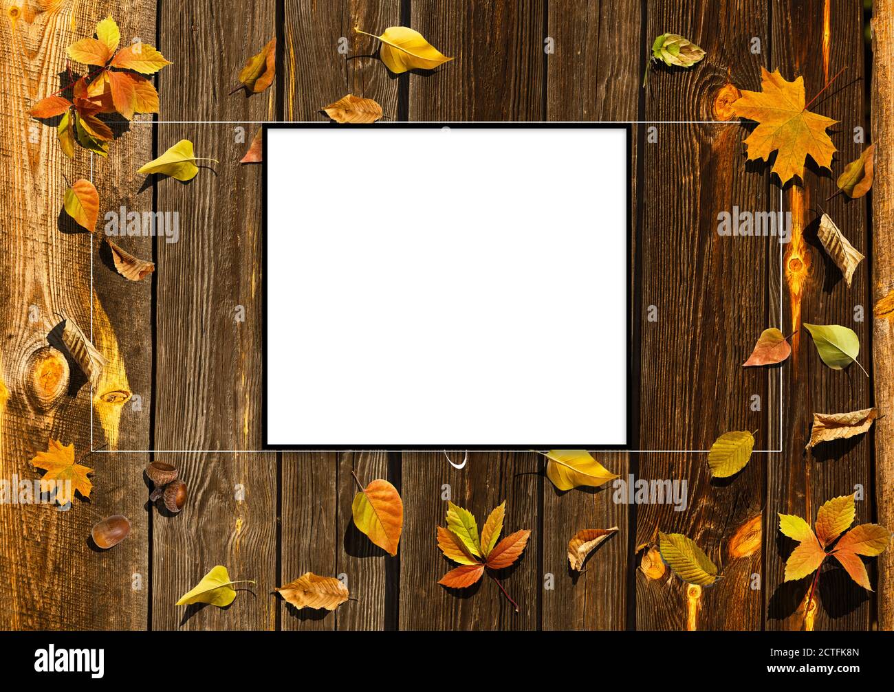 Autumn background with fall leaves. Black chalkboard in center with ...