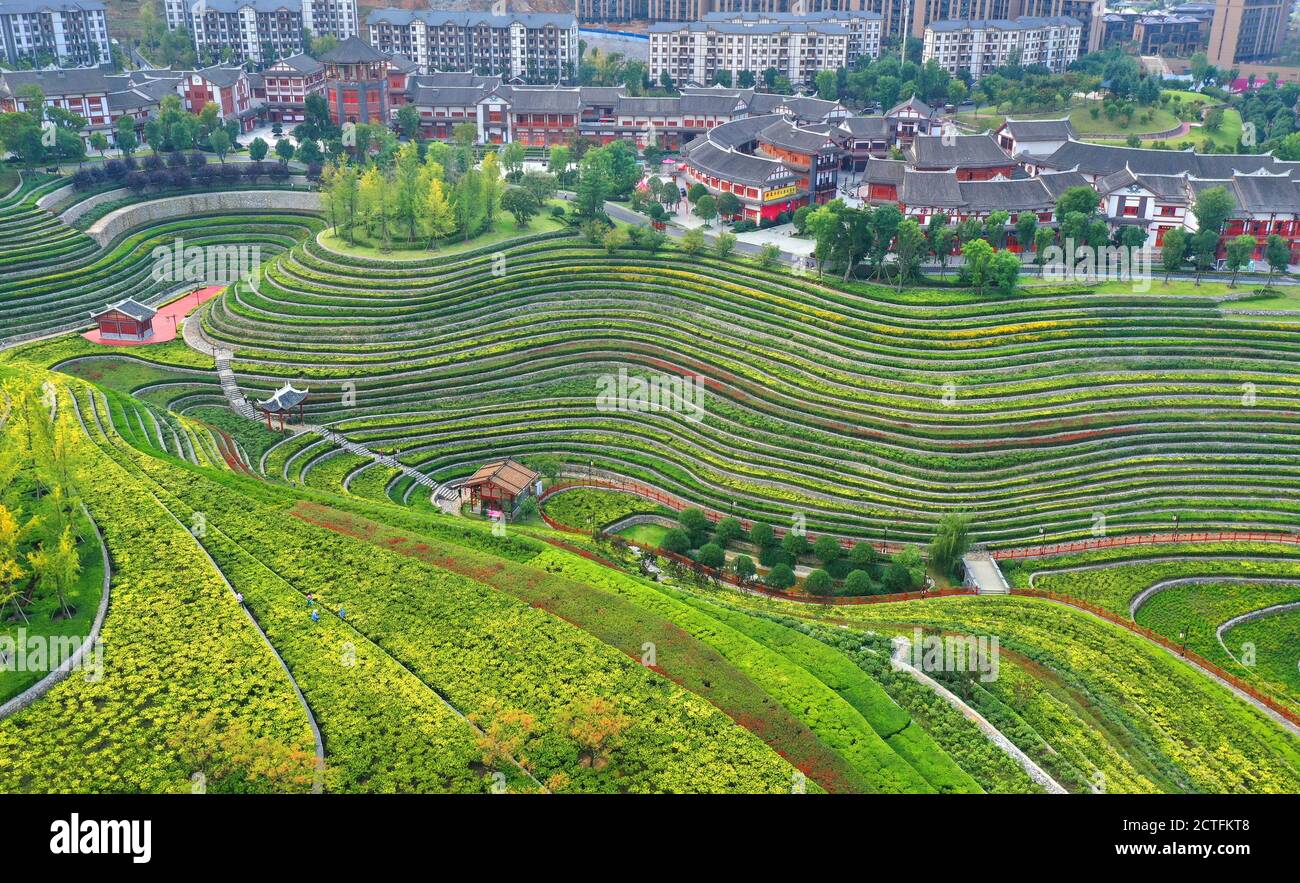 Aerial view of the terraces in Bijie city, south China's Guizhou ...