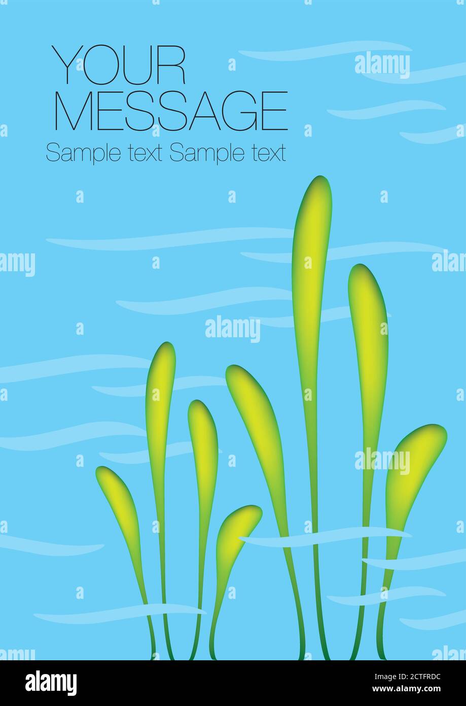 Vector illustration of aquatic plant and blue water background ...
