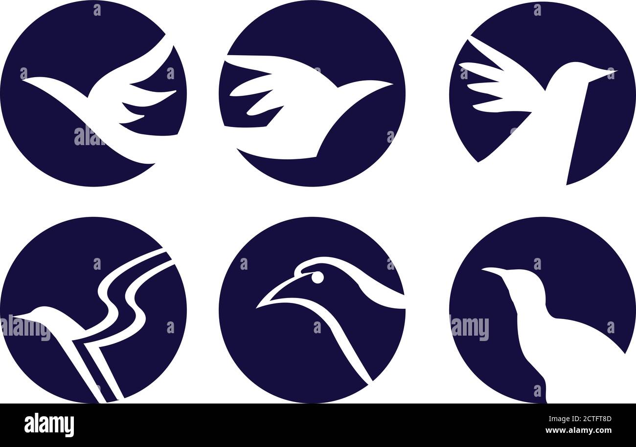 Set of six white bird silhouettes in dark circle. Vector conceptual ...