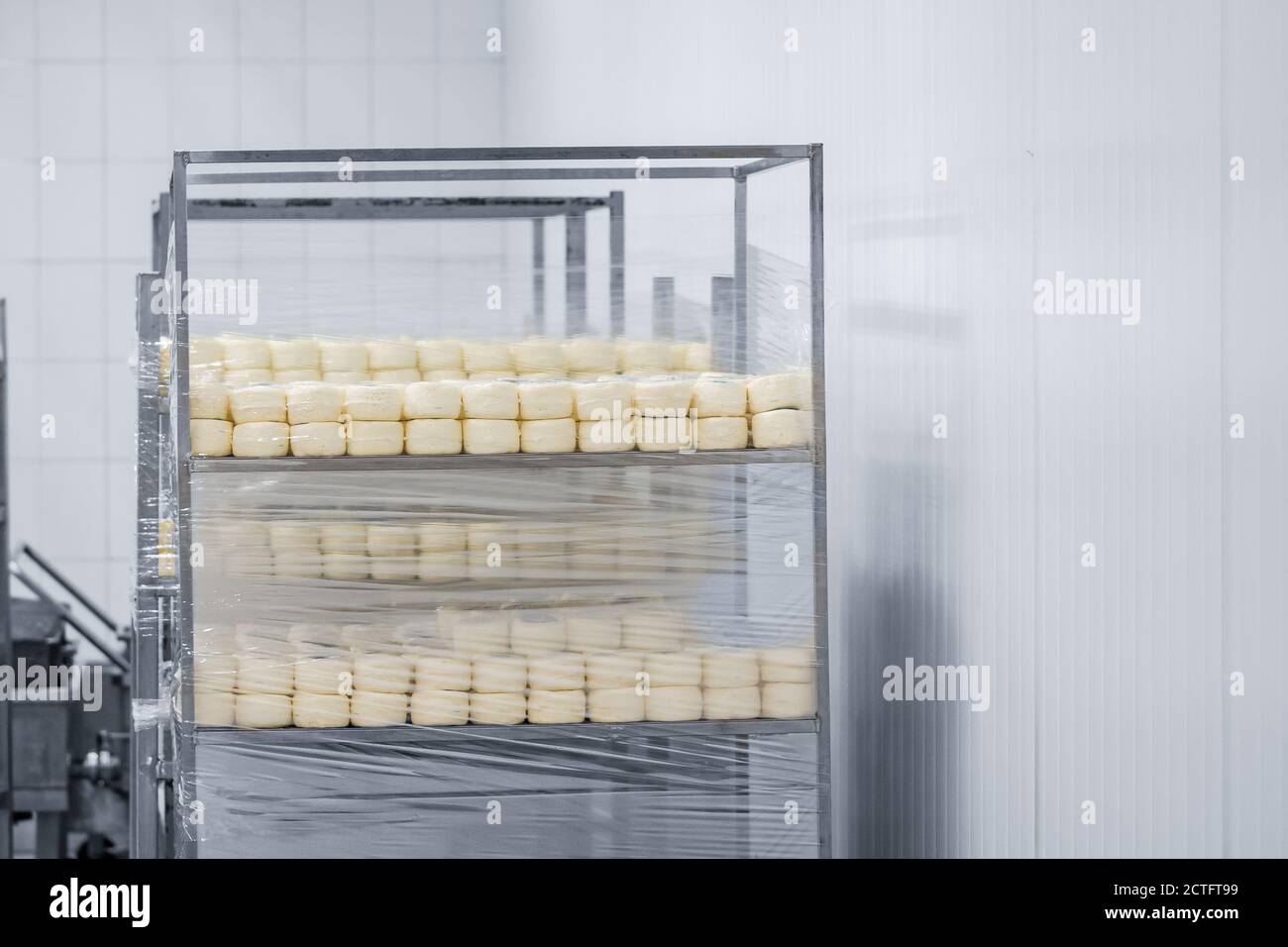 Dairy products factory, cheese ripening after primary processing Stock ...