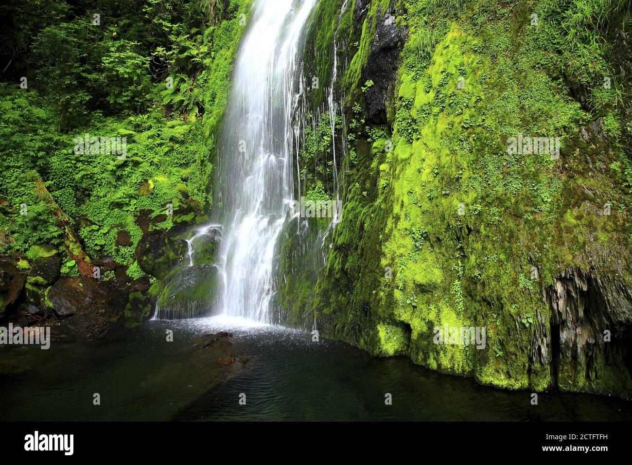 Taichung Wuling Farm Yansheng Waterfall Taiwan Stock Photo - Alamy