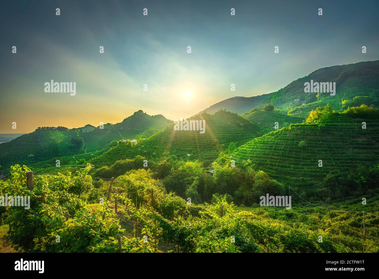 Prosecco Hills, vineyards at sunset. Unesco Site. Farra di Soligo ...