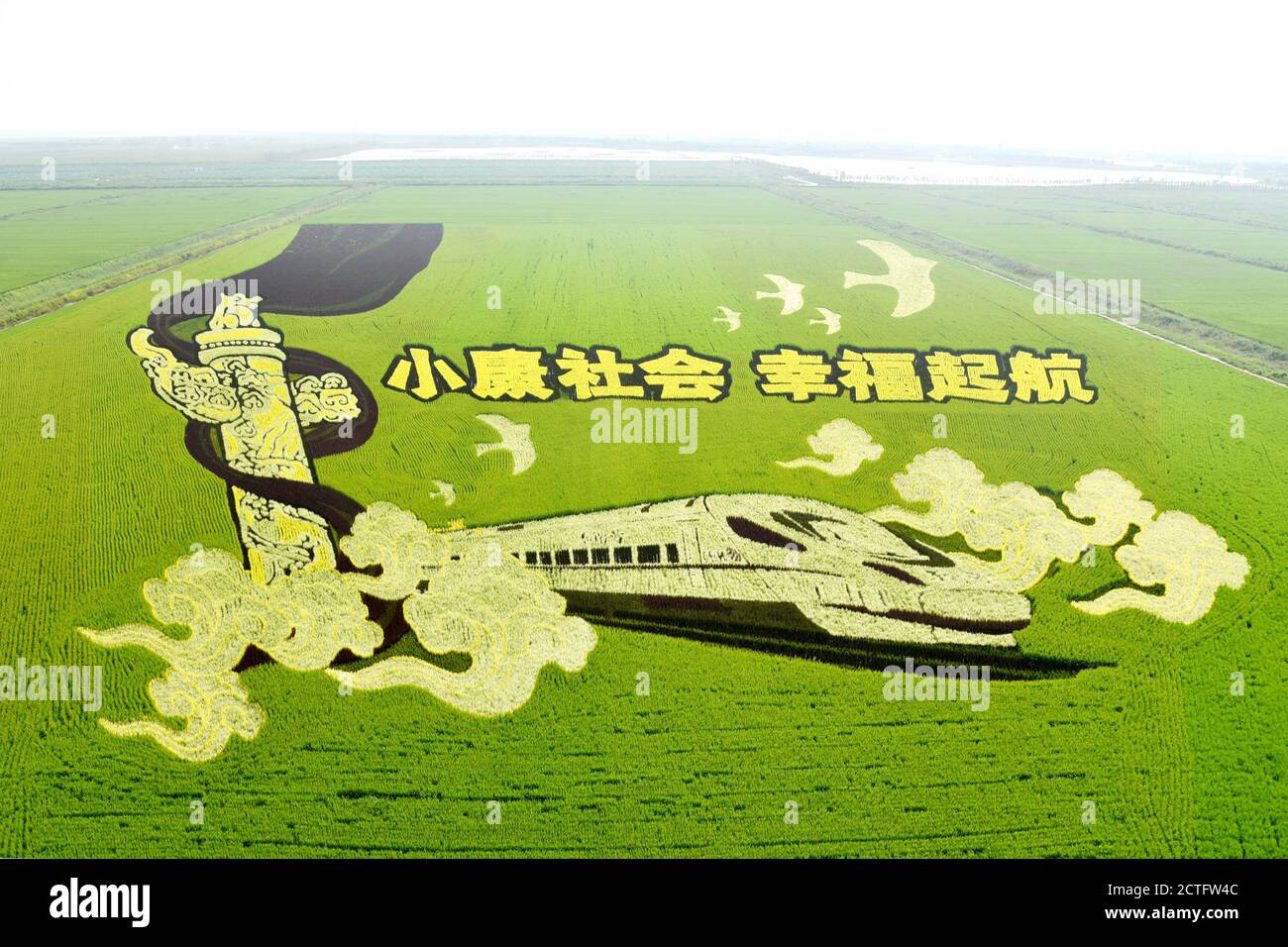 Aerial view of the gigantic field art in Dongying city, east China's ...