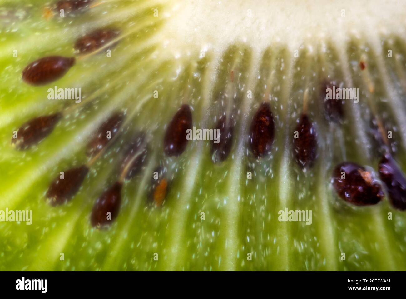 Pulp structure hi-res stock photography and images - Alamy