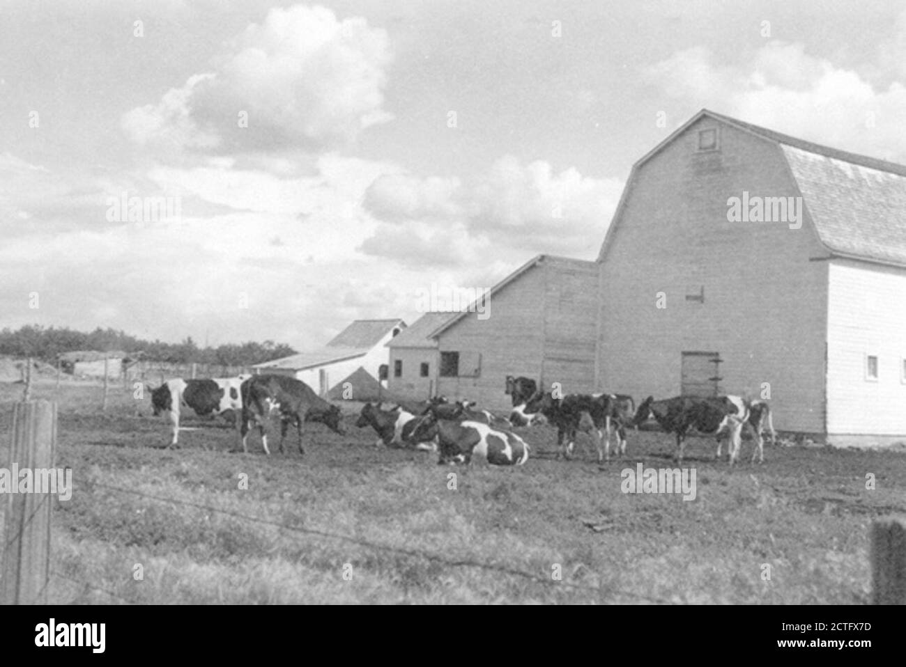 Tofield High Resolution Stock Photography and Images - Alamy