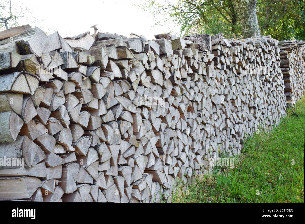 Preparation firewood for the winter. Firewood background Vintage effect ...