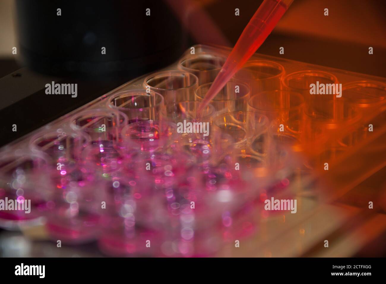 Genetic engineering and pipette hi-res stock photography and images - Alamy