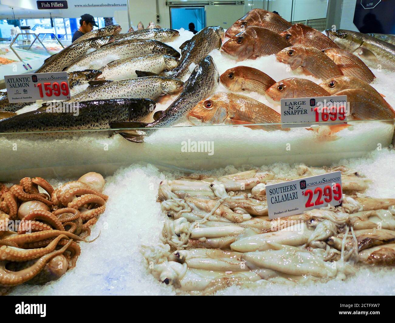 Squid types hi-res stock photography and images - Alamy