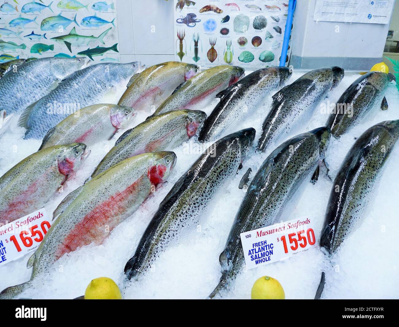 FISH ON AN ICE BASE ON DISPLAY AT THE FISH MARKET Stock Photo - Alamy