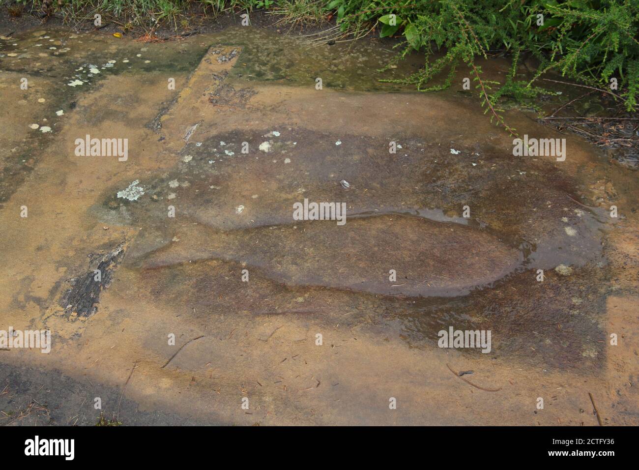 Aboriginal rock engravings, Grotto Point Track in Clontarf on the Spit ...