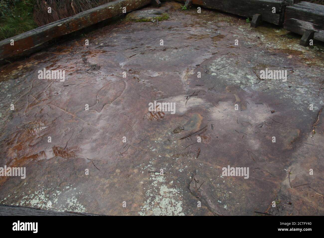 Aboriginal rock engravings, Grotto Point Track in Clontarf on the Spit ...
