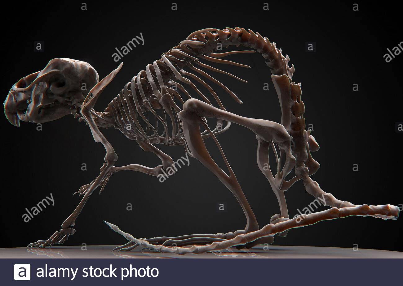 Standing Mummy High Resolution Stock Photography and Images - Alamy