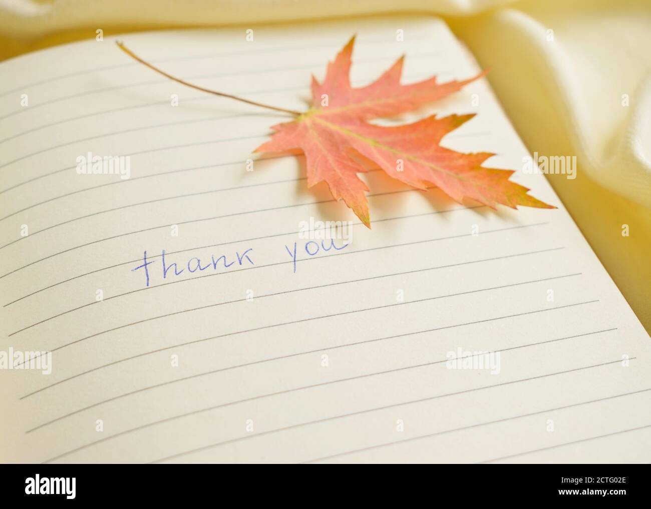 thank you text message on paper page background with printed lines and ...