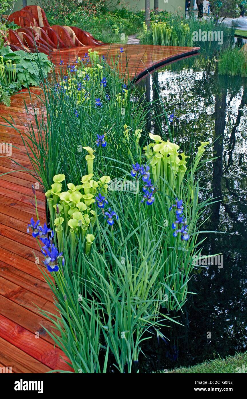A water garden celebrating one of the world's fragile habitats growing ...