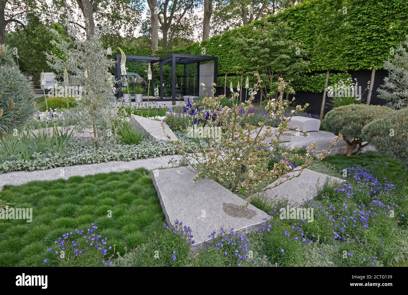 A cool modern garden with some Scandinavian style and soft planting ...