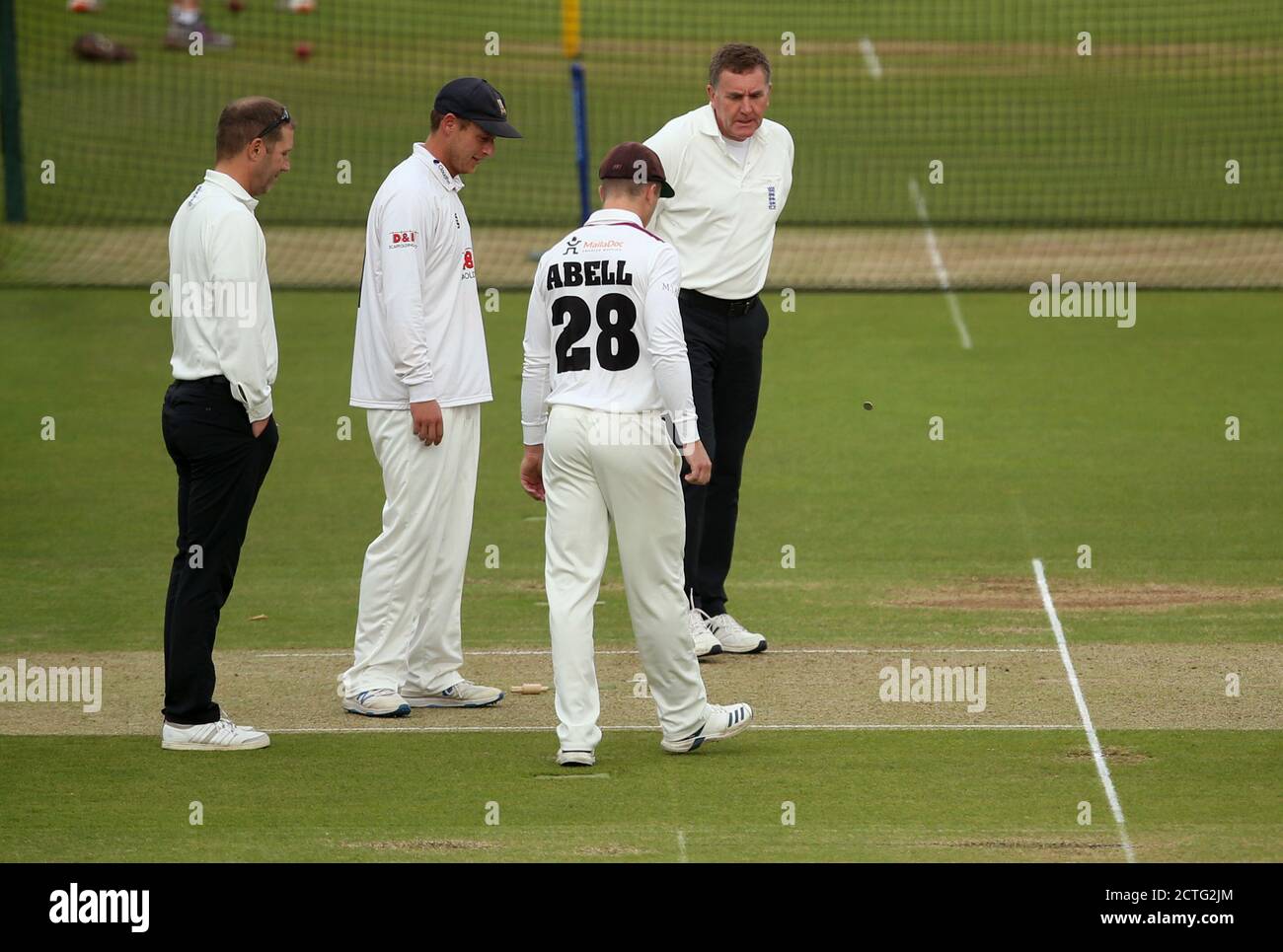 Cricket tom abell hi-res stock photography and images - Alamy