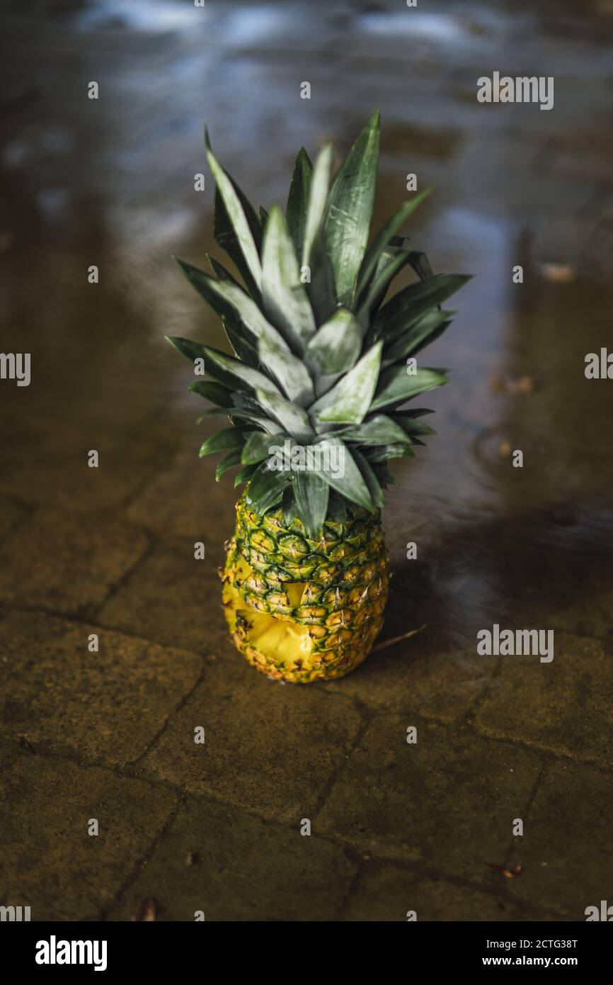 Halloween pineapple with a scary face on the ground Stock Photo - Alamy