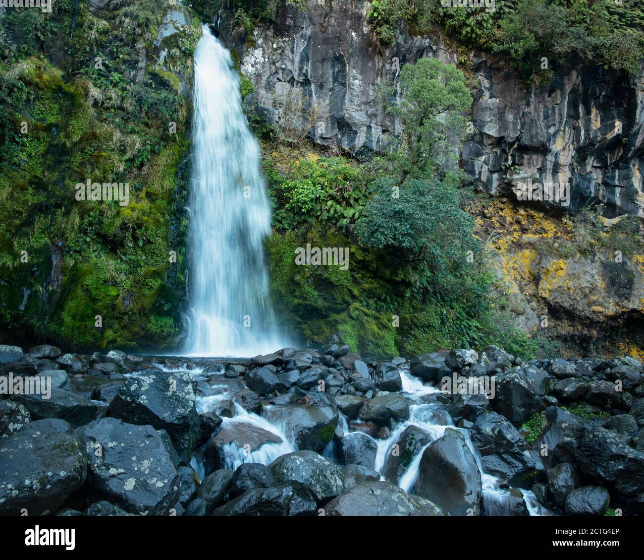 Dawson Falls at Egmont National Park, Taranaki Stock Photo - Alamy