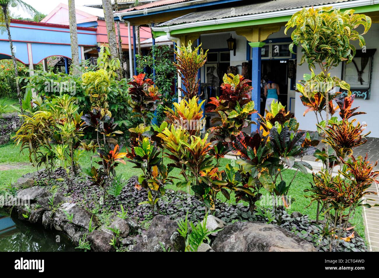 Colourful plants at Pacific Harbour in Fiji Stock Photo - Alamy